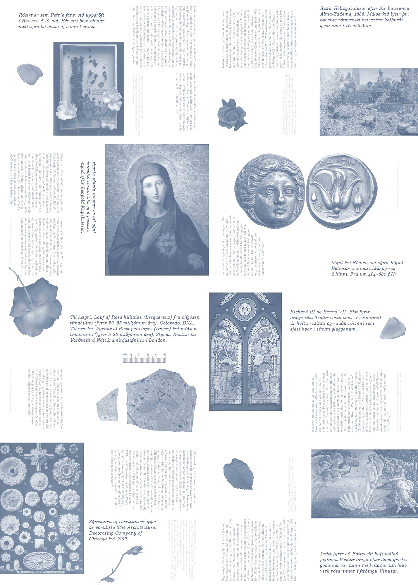 Previous: Alexandra Sól Anderson